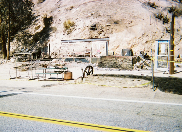 Photos: We Are Helping the Angeles Forest Heal - SEIU Local 721