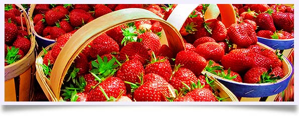 Supporting Oxnard Services and Non-Profits by Attending the Strawberry ...