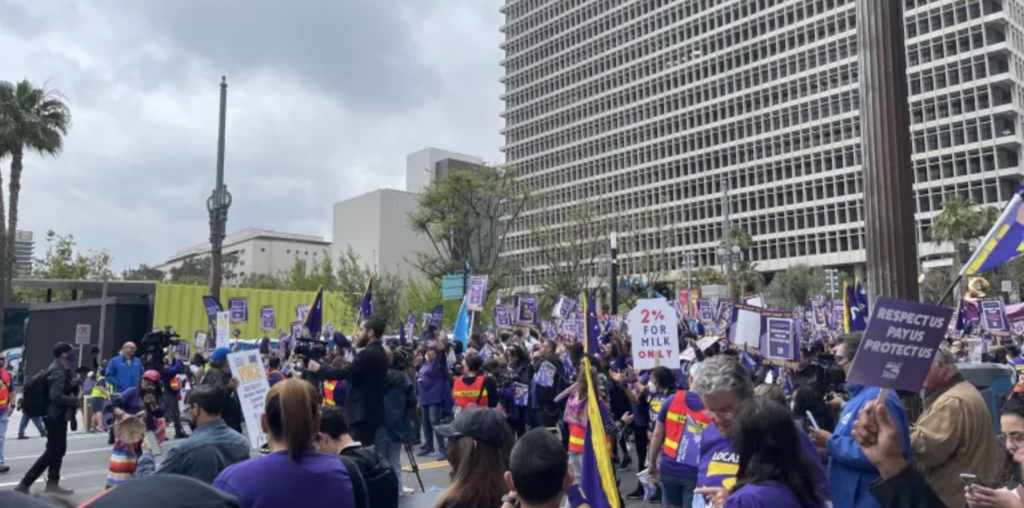 LA County Workers Protest Downtown in What Union Calls its Largest ...