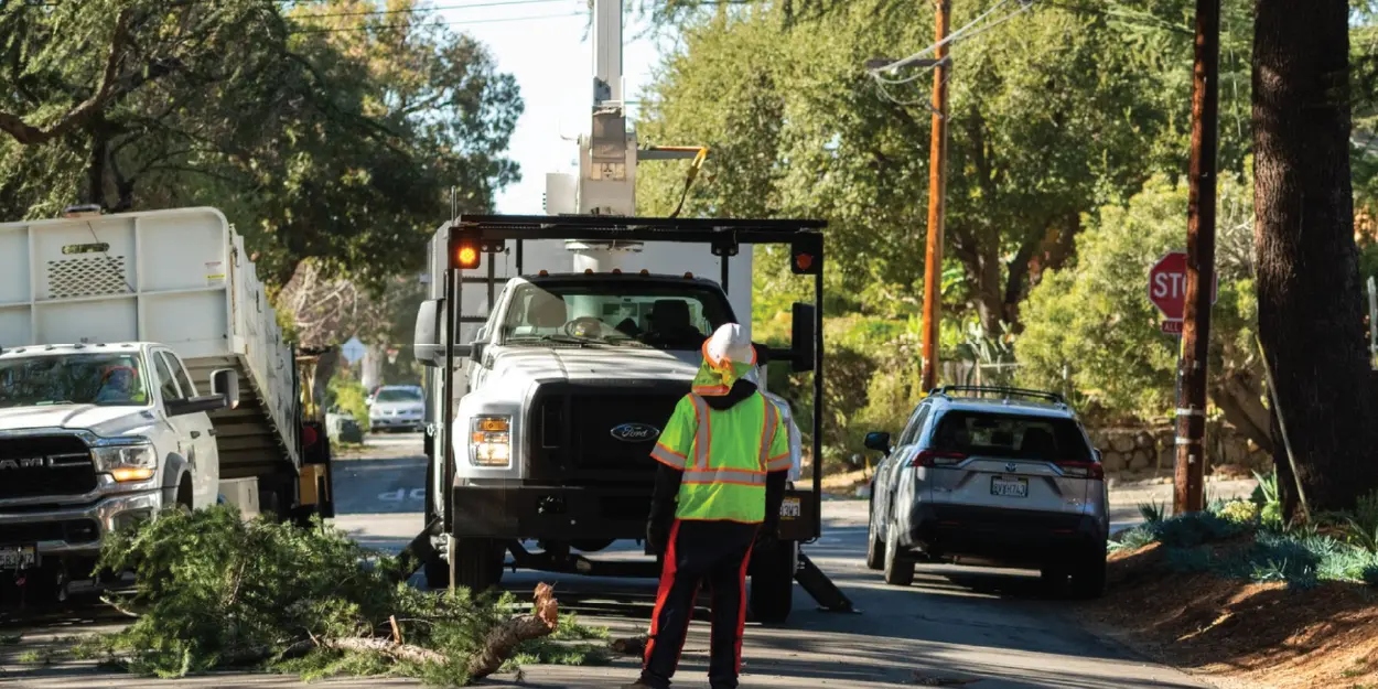 Tree trimming work by William Lovell of LA County DPW Road Dept. is a ...